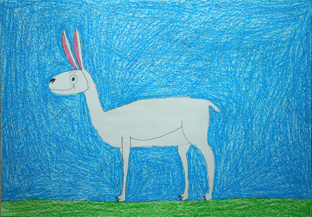 Jordan ChowAlpaca – Māpura Studios