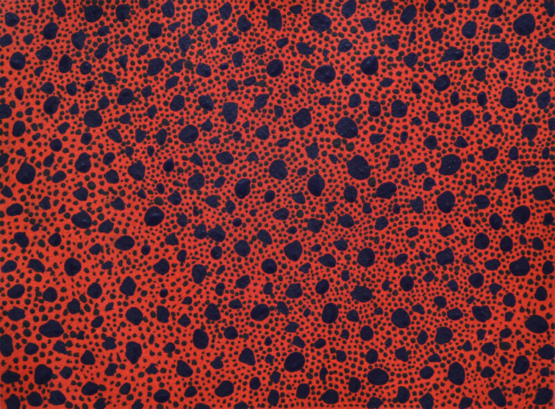 Mt Albert Library Exhibition – Māpura Studios